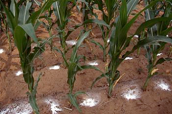 China farming soil acidification ‘at least 10 to 100 times greater than ...